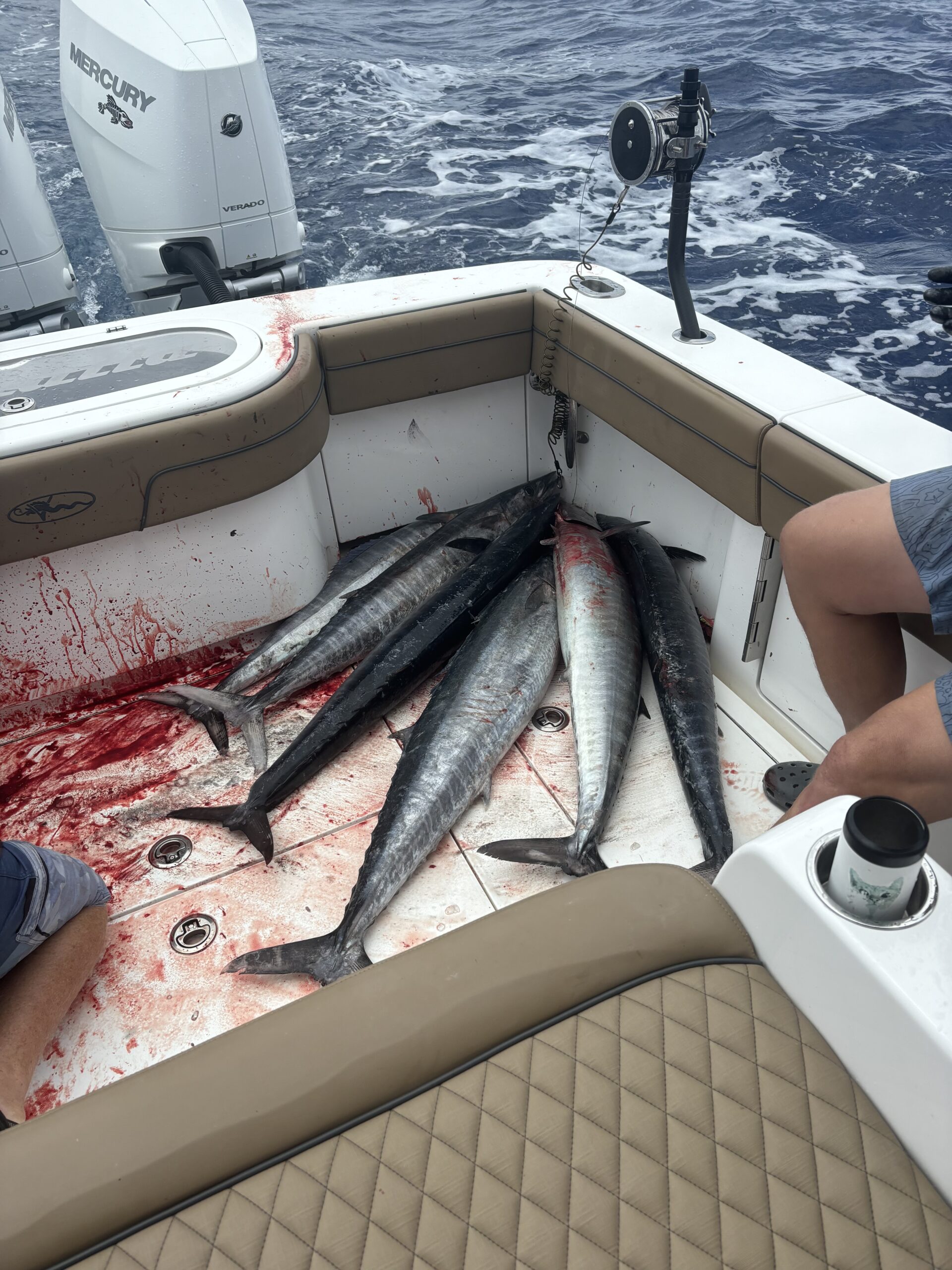 MJÖLNIR (Thor's Hammer) - Sport fishing charters, whale watching